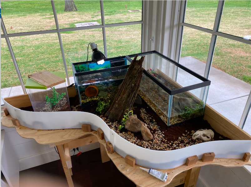Turtle Towers Collaboration – The Learning Repository
